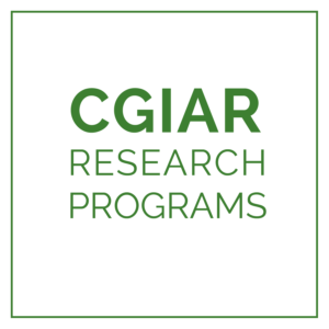 CIP - International Potato Center