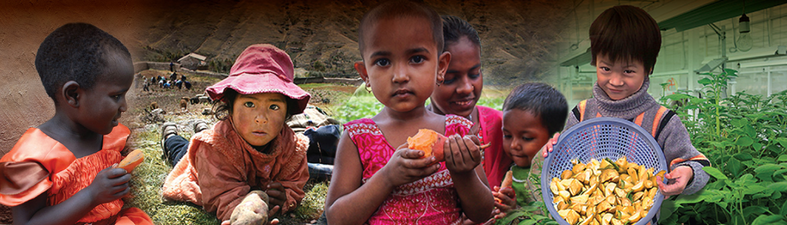 Home - International Potato Center