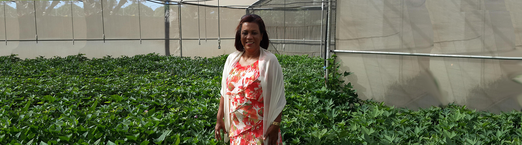 Home - International Potato Center