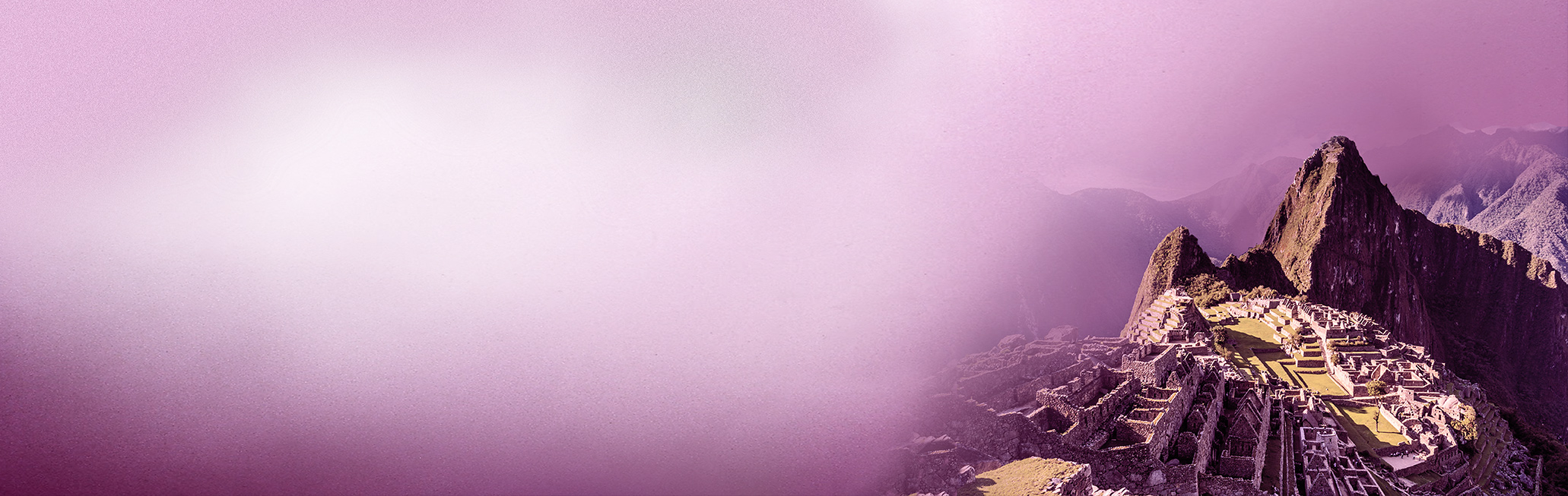 CIP - International Potato Center