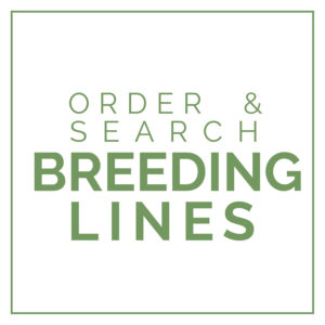 CIP - International Potato Center